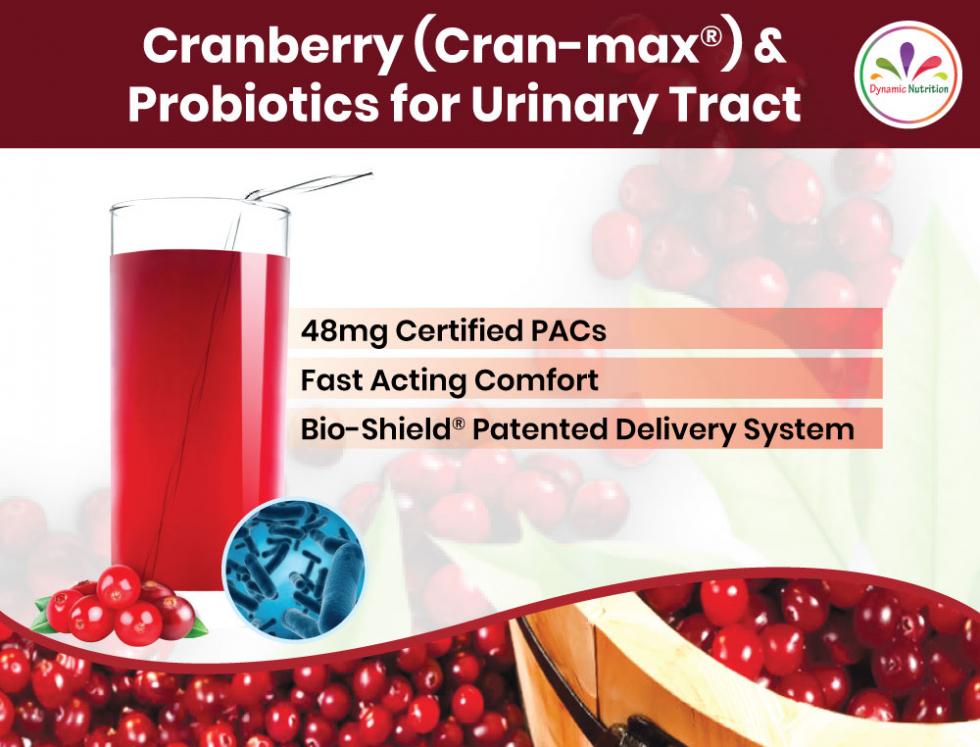 Urinary Tract Infections – Symptoms & Natural Treatment | Dynamic Nutrition