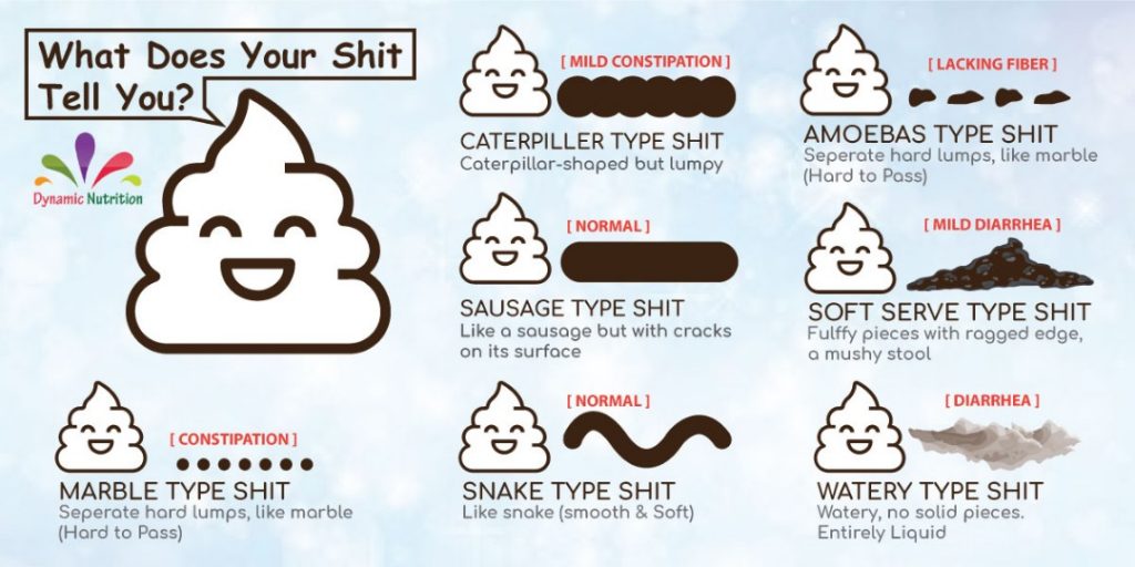 What Does Your Shit (Faeces) Tell You? | Dynamic Nutrition