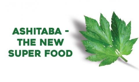 Dynamic Nutrition's Organic Ashitaba Aojiru 90gm | Product Of Japan