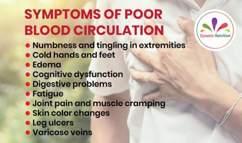 Symptoms of Poor Blood Circulation | Dynamic Nutrition