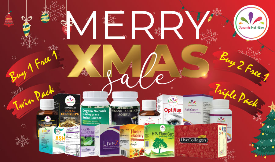 Christmas Promotion 2020 | Dynamic Nutrition
