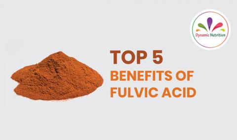 Top 5 Benefits Of Fulvic Acid | Dynamic Nutrition