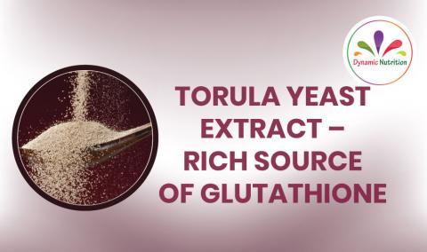 Torula Yeast Extract - Rich Source of Glutathione | Dynamic Nutrition
