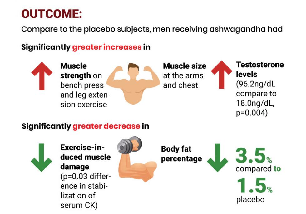 Advanced Men's Supplement | Men Guard Capsule