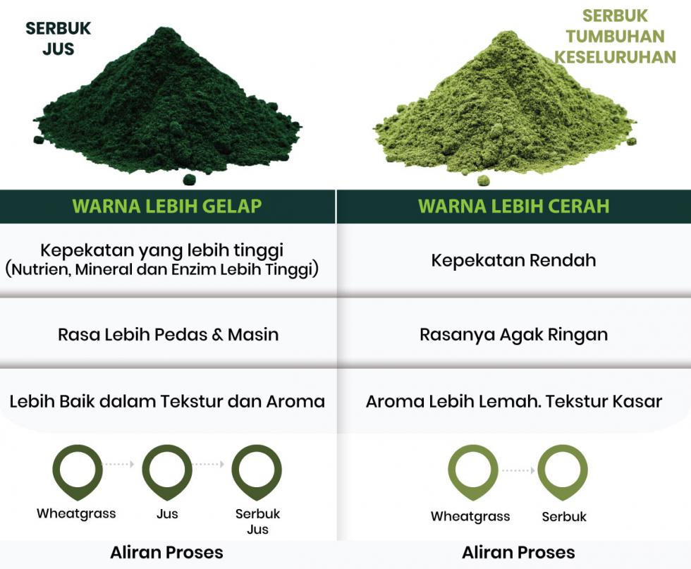 Serbuk Jus Rumput Barli Vulkanik Organik | Dynamic Nutrition